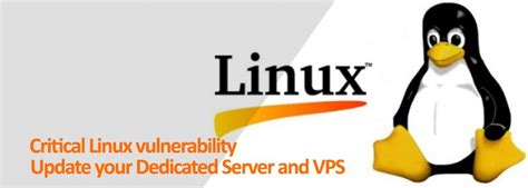 Critical Linux Vulnerability Cve 2015 7547 In Gnu C Library Glibc D5 Creation