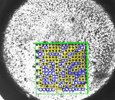 Bar Code And Data Code Reading Mvtec Software