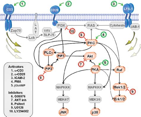 Figure 1 From Causal Graph Discovery With Retrieval Augmented Generation Based Large Language