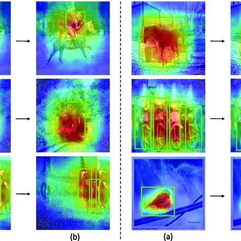 A CAM Overlay With Bounding Boxes From MIC B Refined Bounding Download Scientific Diagram