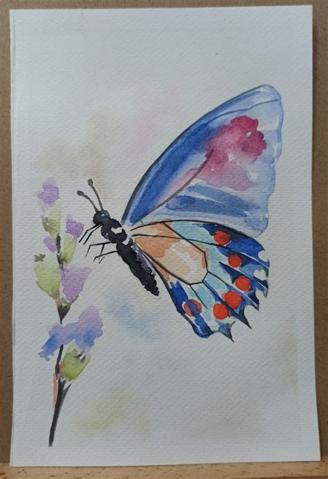 Mariposa Acuarela En 2024 Mariposas Acuarela Acuarela Pinturas