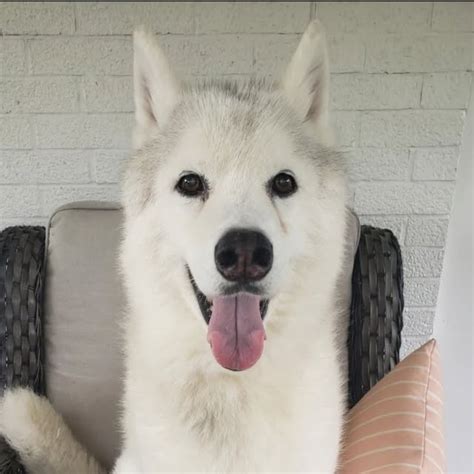 Annie Anniep627 Threads Say More