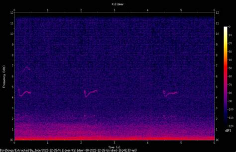 Fun Raspberry Pi Project Identify Backyard Birds 247 Because Birds