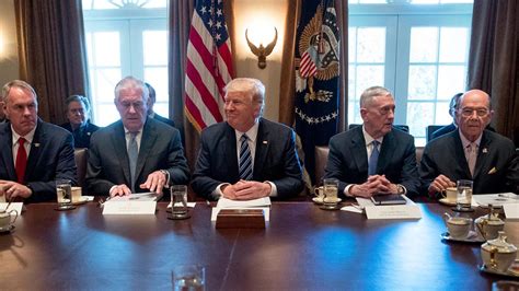 President Trump Holds First Official Cabinet Meeting Fox News Video