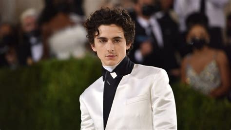 تیموتی شالامی Timothée Chalamet ؛ زندگینامه، تصاویر و بهترین فیلم‌ها
