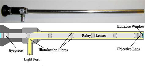 Figure 1 From Polarization Response Measurement And Simulation Of Rigid