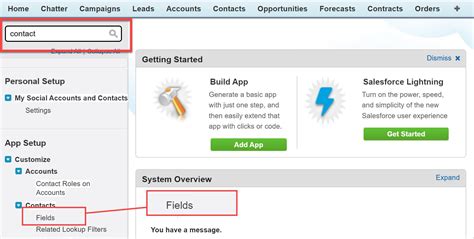 How To Set Default Value For Text Field In Salesforce Salesforce Faqs