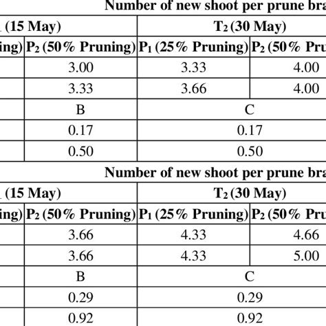 Interaction Effect Among Different Time Of Pruning Pruning Intensity