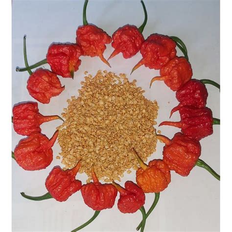 Carolina Reaper Seeds 15pcs At Iba Pa Shopee Philippines