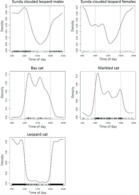 temporal activity patterns of four sympatric bornean felid species as