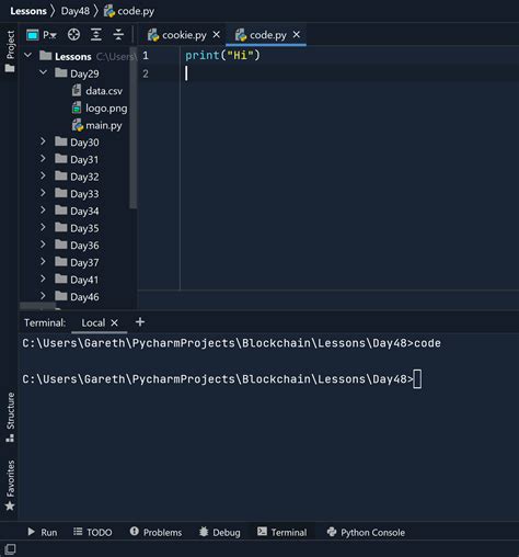 Windows Terminal Python