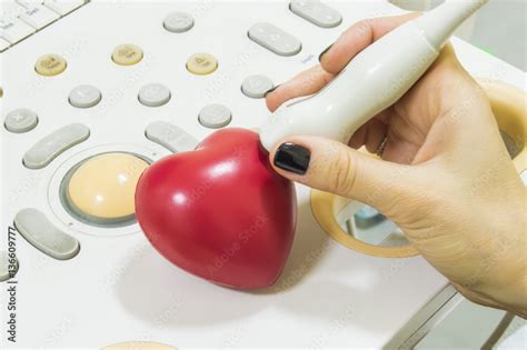 Echocardiography Of Heart Ultrasound Probe And Heart Doctor Performing Echocardiography On