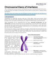 Understanding The Chromosomal Theory Of Inheritance How Traits