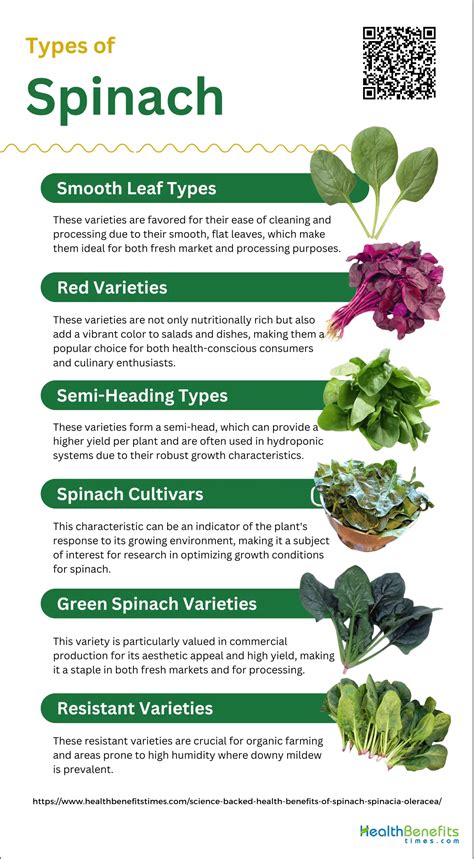 Science Backed Health Benefits Of Spinach Spinacia Oleracea Health