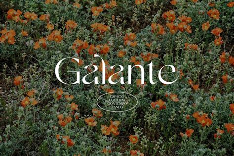 GALANTE on Behance