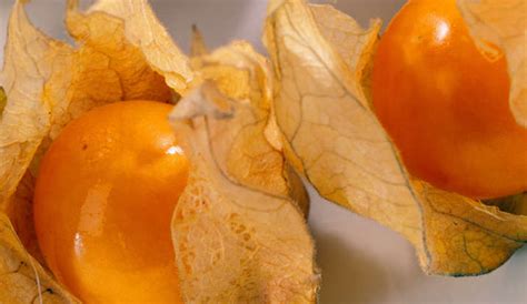 형형색색의 독특한 과일들