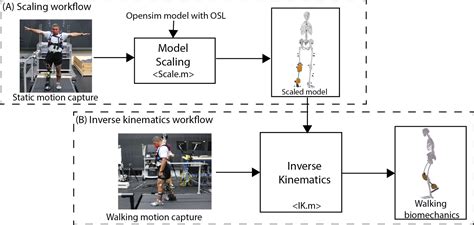 Opensim Open Source Leg Models Epic Lab At Georgia Tech