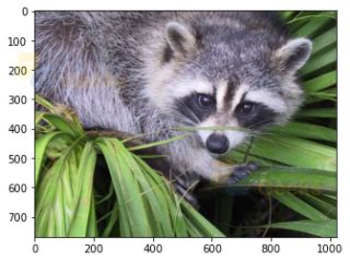 Image Processing In Python Python Geeks