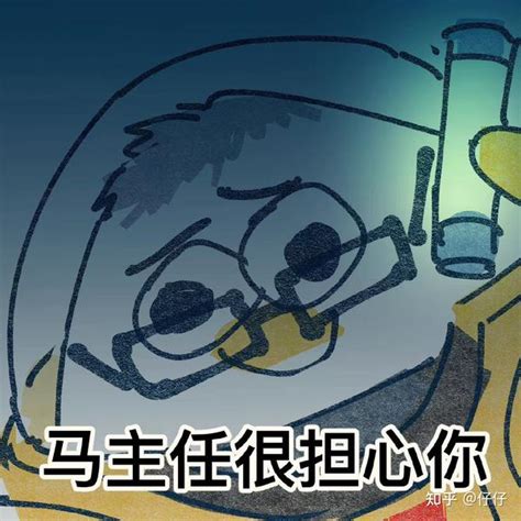 马兆海鸥梗图大合集 知乎