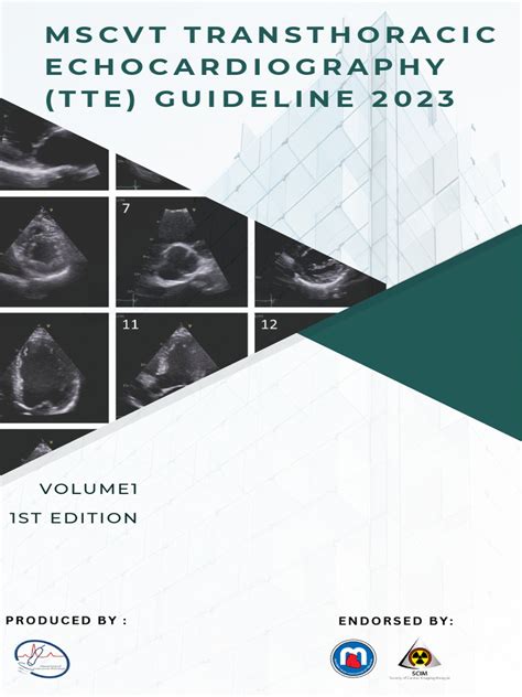 Echo Guidelines D3 4 Pdf