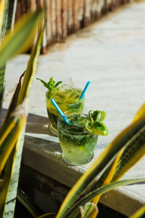 집 밖의 감귤류 고명 나뭇잎 녹색 라임 레몬 레저 막대기 맛 모히토 민트 바질 반동 배경 뱀 빨대 수직 쐈어 수화 작용 술 술을 마시다