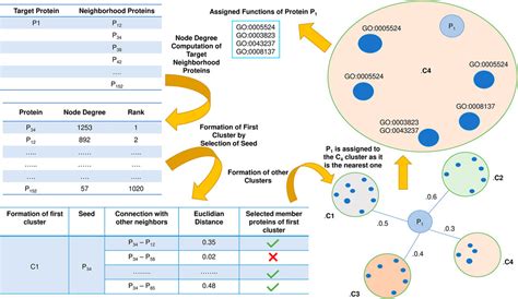 Protein Function
