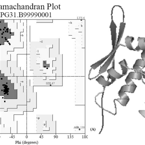 Model Refinement And Steriochemical Validation Of Modeled Protein A Download Scientific