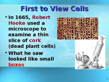 Cells Cell Structure PPT By Nici Harper TPT