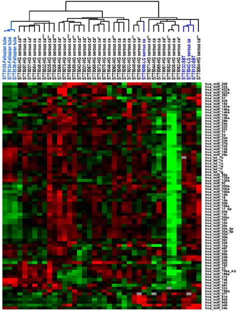 unsupervised hierarchical clustering of 37 ovarian serous tumors and 3