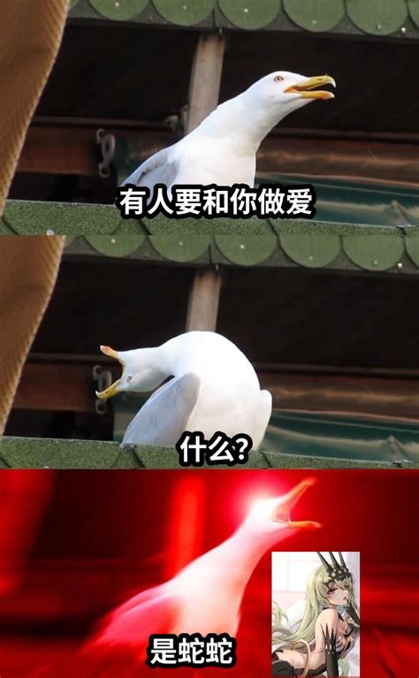 有人要和你做爱什么是蛇蛇 网友制作的MEME梗图