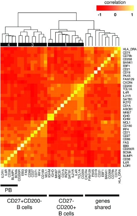 Hierarchically Clustered Correlation Of Gene Expression From The Pooled