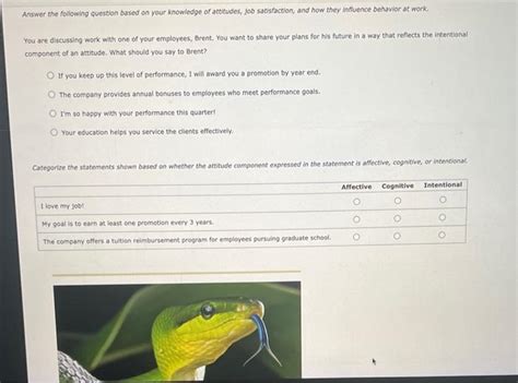 Solved Answer The Following Question Based On Your Knowledge