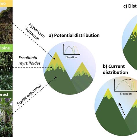 Density Estimations From Dsm Models For The Selected Species The
