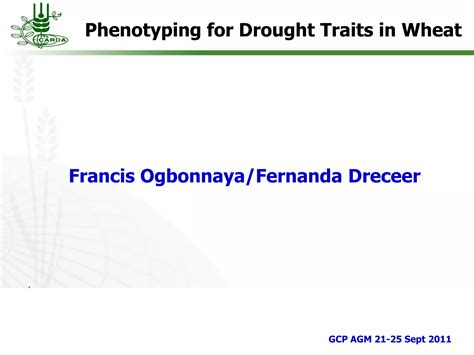 Grm 2011 Phenotyping Wheat For Drought Tolerance Ppt