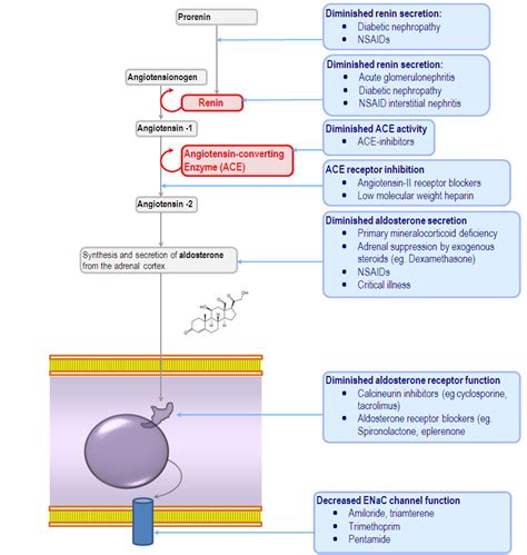 Type 4 Hyperkalemic Renal Tubular Acidosis Deranged Physiology
