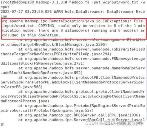 Hadoop概述、运行环境搭建、运行模式hadoop的工作模式 Csdn博客