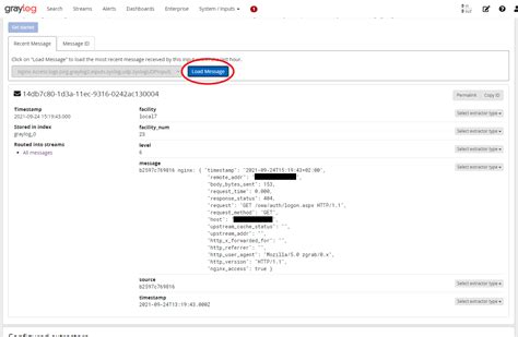 nginx logs to graylog input extractors