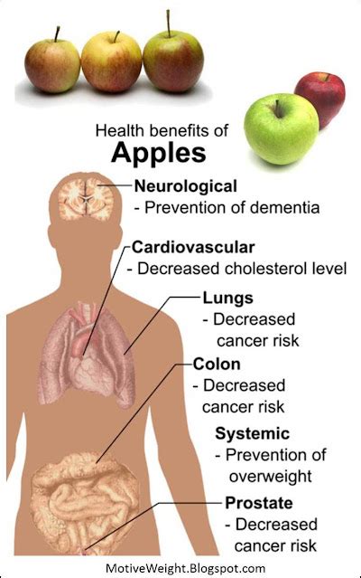 Apples Health Benefits And Nutrition Facts Wellness Magazine