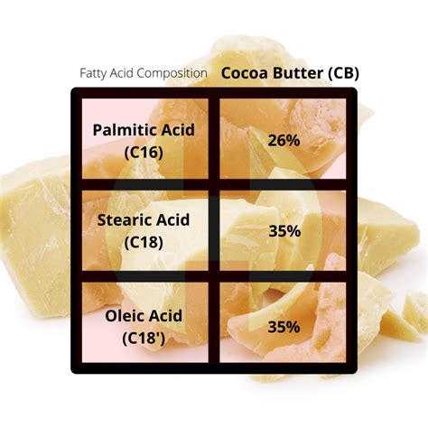 Cocoa Butter Fatty Acid Composition At Audrey Tyler Blog
