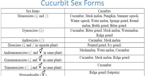 Manipulation Of Sex Expression In Vegetables For Hybrid Seed Production