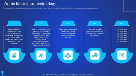 Digital Ledger It Public Blockchain Technology Ppt Infographics Layouts Ppt Example