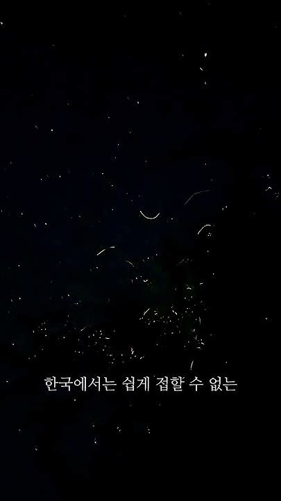 필리핀 보홀 자유여행 반딧불투어 찐후기 여행 Youtube