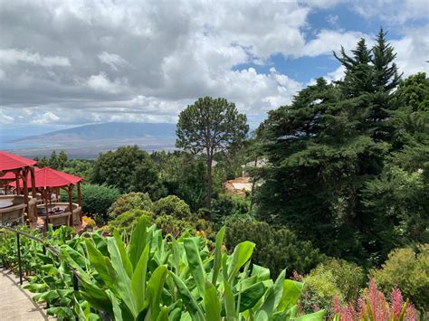 Kula Lodge Kula Maui Hi Maui Happy Hours