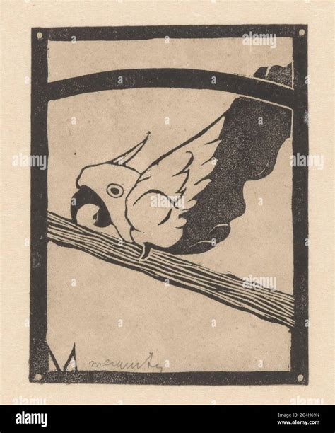 Pappie Screaming Cockatoo Cockatoo On Diagonally Positioned Trunk