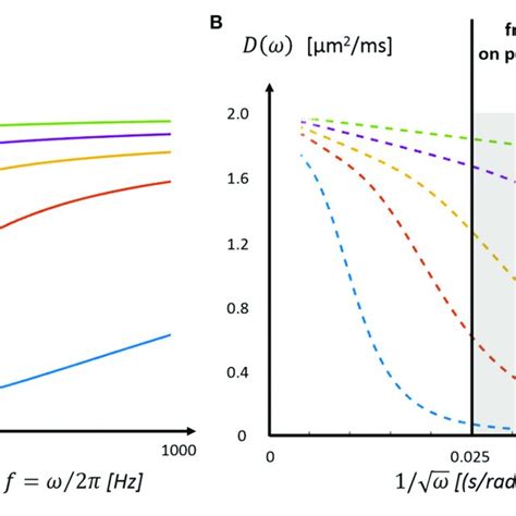 Intracellular Diffusivity And Cell Size A The Oscillation