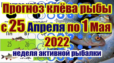 Прогноз клева рыбы на Эту неделю с 25 Апреля по 1 Мая Календарь клева рыбы Календарь рыболова