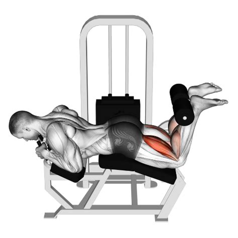 How To Do Seated Hamstring Stretch The Right Way