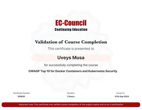 Owasp Top 10 For Docker Containers And Kubernetes Security Uveys Musa