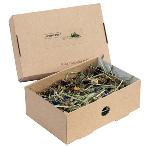 Spring Foraging Box For Rabbits Digestive And Lymphatic Health