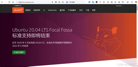 在 windows 系统下使用 vmware 安装 ubuntu 24 04 lts 系统 ubuntu官网镜像下载 csdn博客